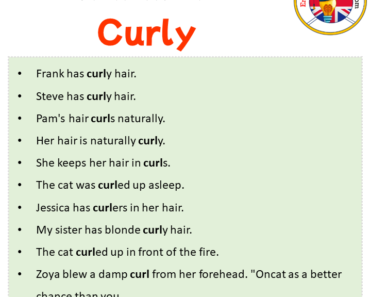 Sentences For Curly Archives - English Grammar Here