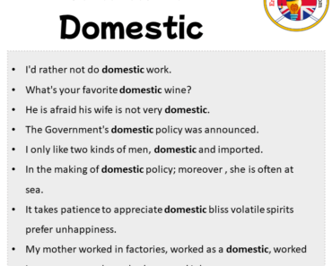 Sentences For Domestic Archives - English Grammar Here