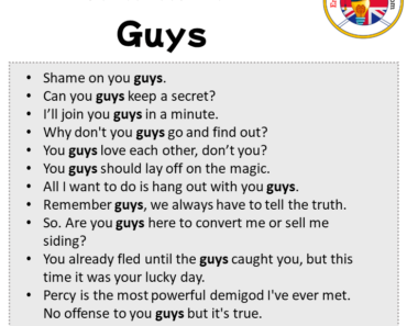 Guys in a Sentence in English Archives - English Grammar Here