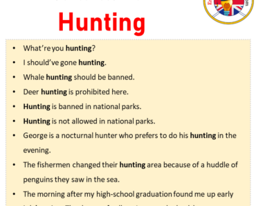 Hunting in a Sentence in English Archives - English Grammar Here