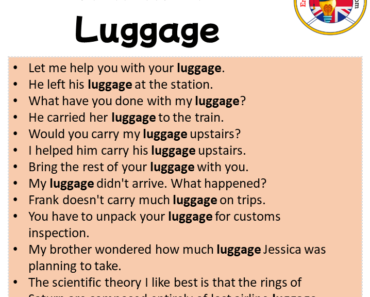 Luggage in a Sentence in English Archives - English Grammar Here