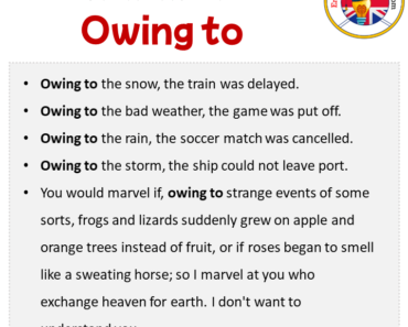 Sentences For Owing to Archives - English Grammar Here