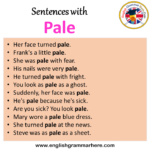 Sentences with Pale, Pale in a Sentence in English, Sentences For Pale ...