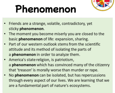 Sentences For Phenomenon Archives - English Grammar Here