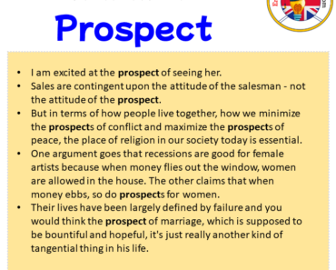 Sentences For Prospect Archives - English Grammar Here