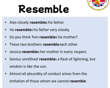 Sentences For Resemble Archives - English Grammar Here
