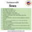 Sentences with Sows, Sows in a Sentence in English, Sentences For Sows ...