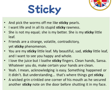 Sticky in a Sentence in English Archives - English Grammar Here