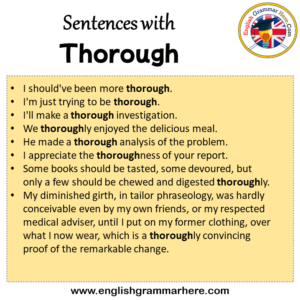 Sentences with Thorough, Thorough in a Sentence in English, Sentences ...