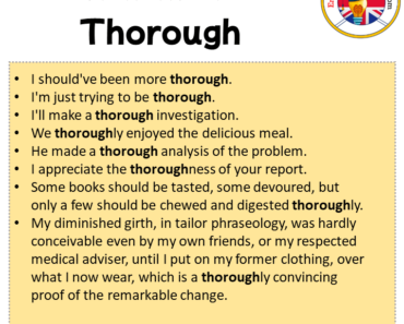 Sentences with Thorough Archives - English Grammar Here