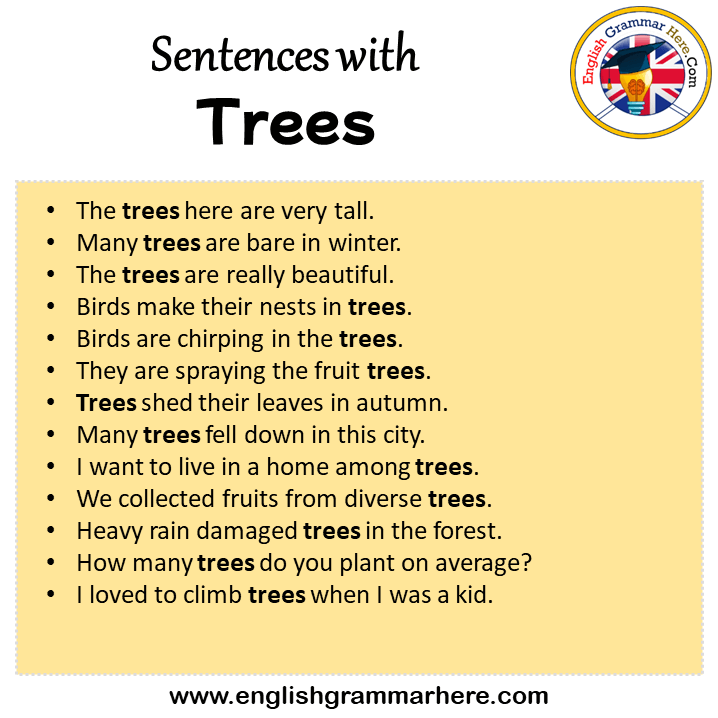 Sentences With Trees Trees In A Sentence In English Sentences For 