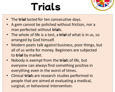Sentences For Trials Archives - English Grammar Here
