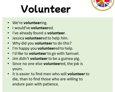Volunteer in a Sentence in English Archives - English Grammar Here