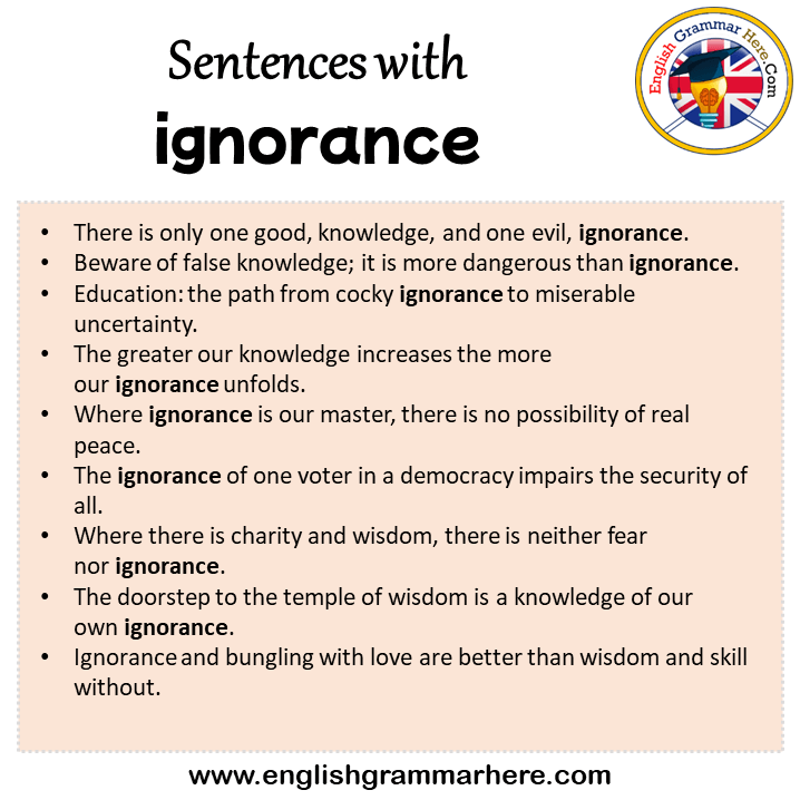 Sentences With Ignorance Ignorance In A Sentence In English Sentences