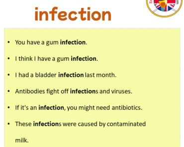 infection in a Sentence in English Archives - English Grammar Here