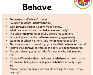 Behave in a Sentence in English Archives - English Grammar Here