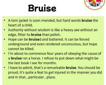 Sentences with Bruise Archives - English Grammar Here