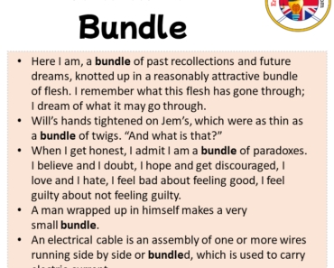 Bundle in a Sentence in English Archives - English Grammar Here