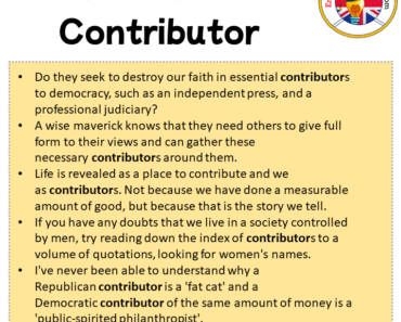 Contributor in a Sentence in English Archives - English Grammar Here