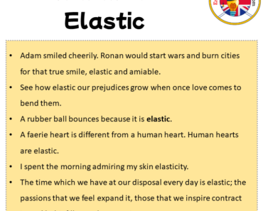 Elastic in a Sentence in English Archives - English Grammar Here
