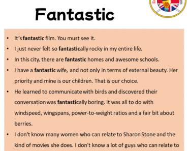 Fantastic in a Sentence in English Archives - English Grammar Here