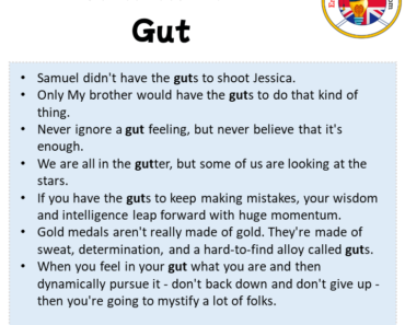 Sentences with And, And in a Sentence in English, Sentences For And ...