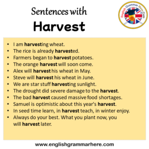 Sentences with Harvest, Harvest in a Sentence in English, Sentences For ...