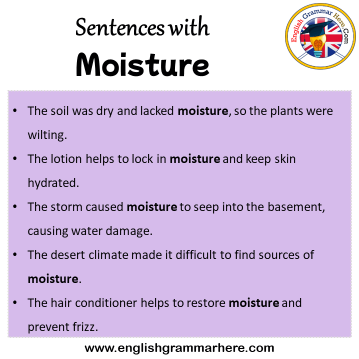 Sentences With Moisture Moisture In A Sentence In English Sentences