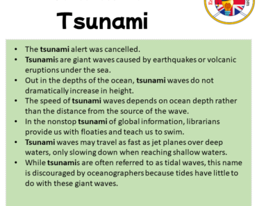 Sentences For Tsunami Archives - English Grammar Here