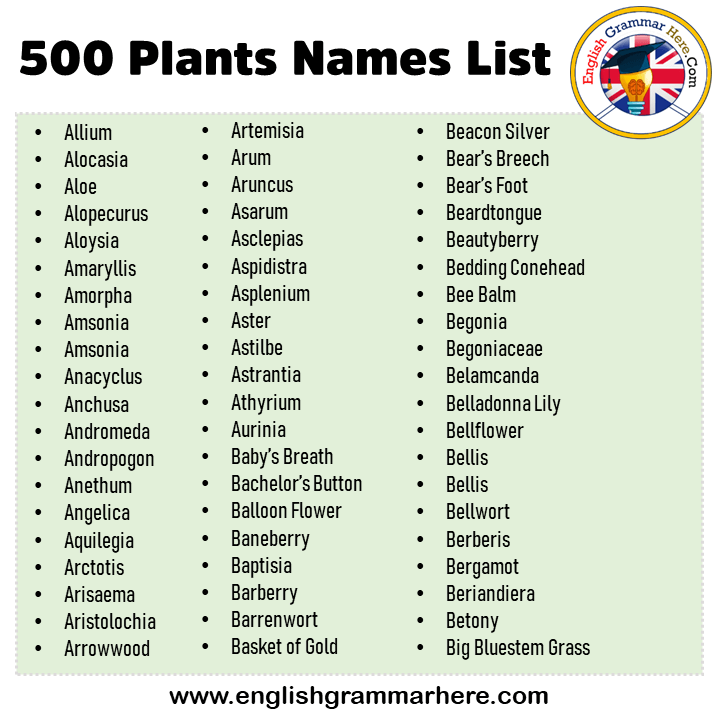 500 Plants Names List In English Plant Names Vocabulary English
